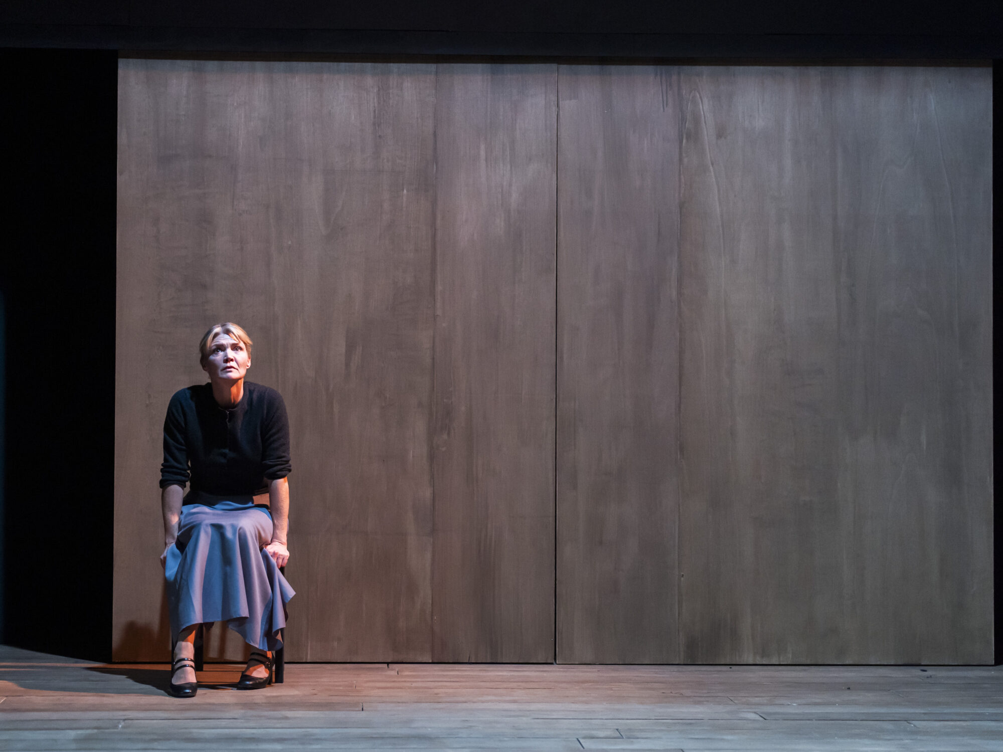 The Wild Duck – The Coronet Theatre
